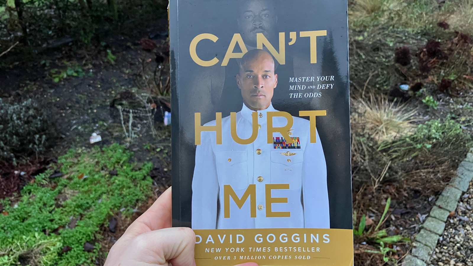 Review "Can't hurt me" - Mark Schmeiser